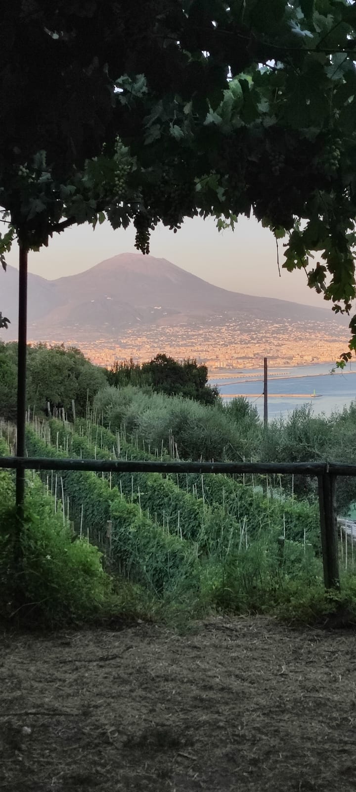 Esplora il mondo del vino con Wine and the City: La guida completa ...